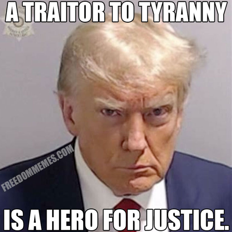 A Traitor to Tyranny is a Hero for Justice. - Freedom Memes